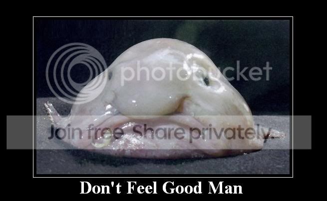 Sad Fish Meme